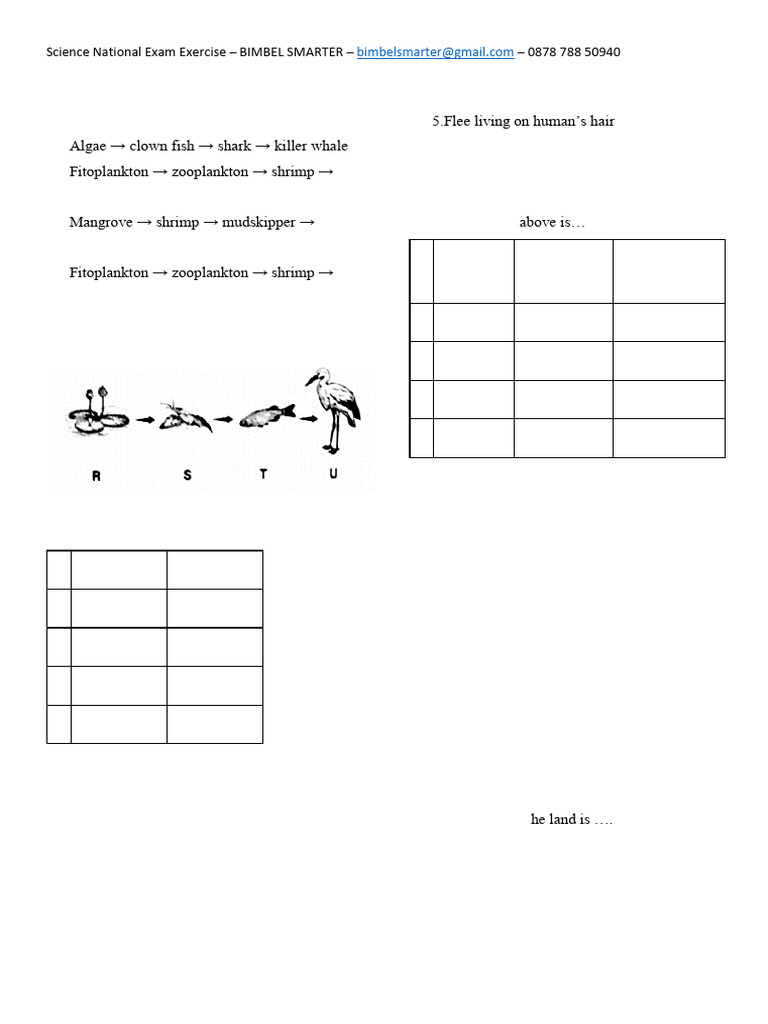 IPA UN in English - Latihan | PDF | Temperature | Breathing