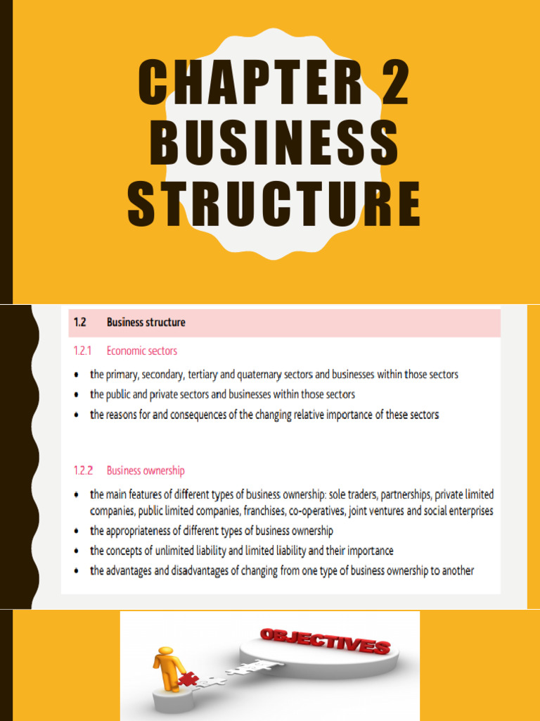 02 L1 Business Structure | PDF | State Owned Enterprise | Industrialisation