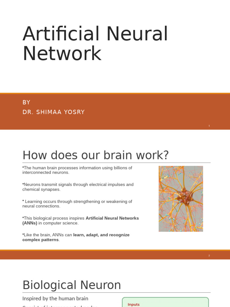 Lec 1 | PDF | Neuron | Chemical Synapse