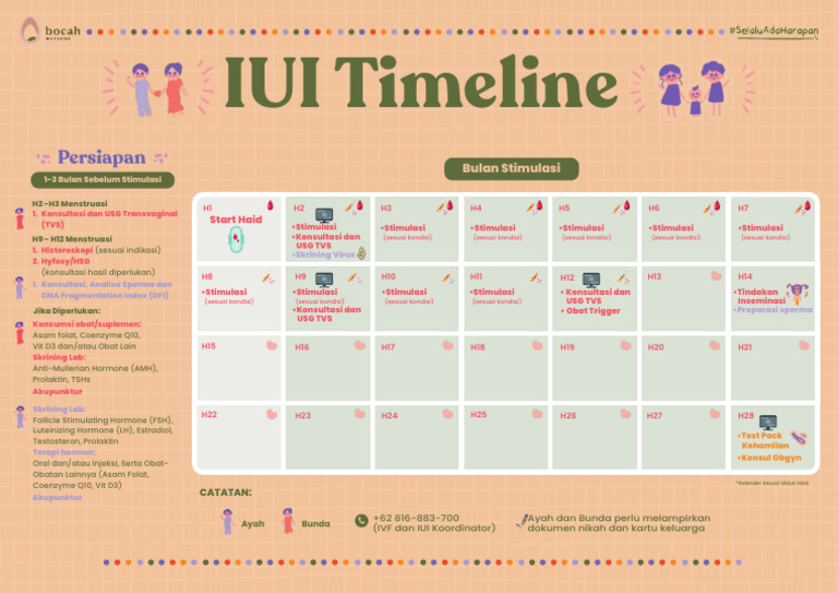 Timeline Iui | PDF