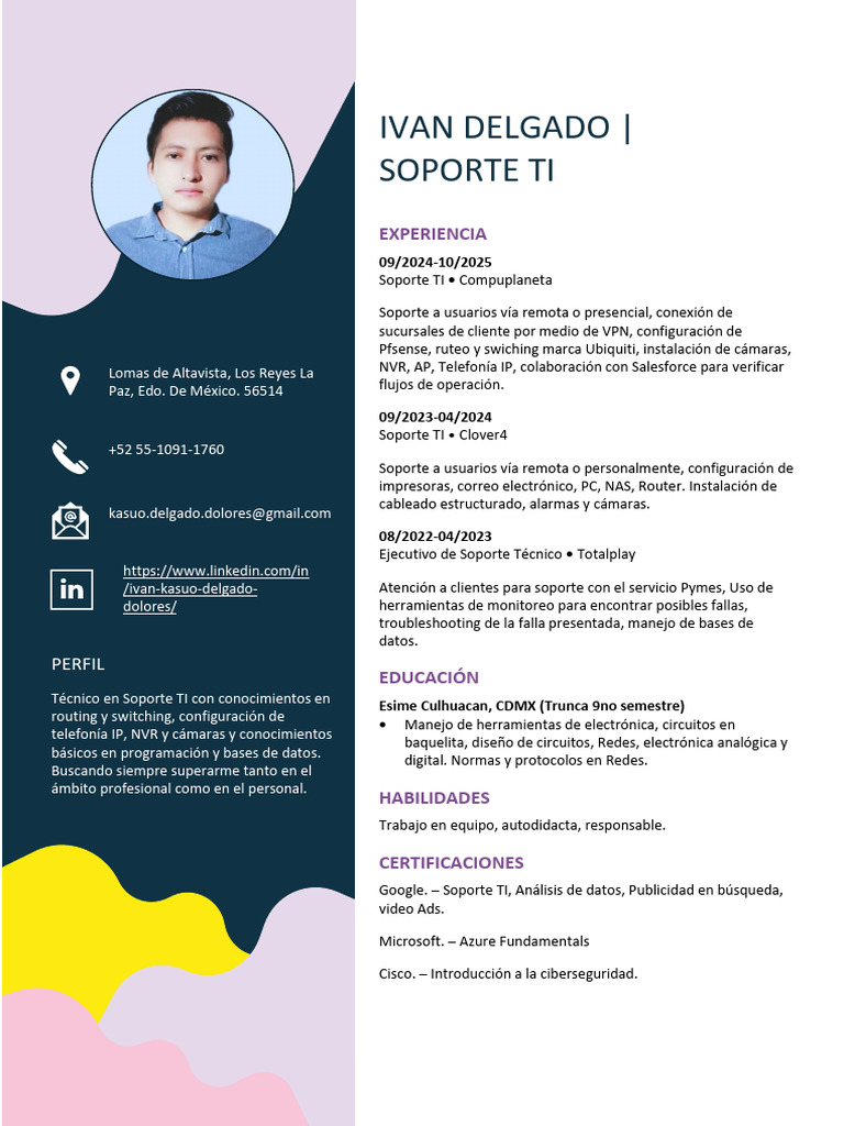 CV Ivan Delgado | PDF | Tecnologías de la información | Red de arquitectura