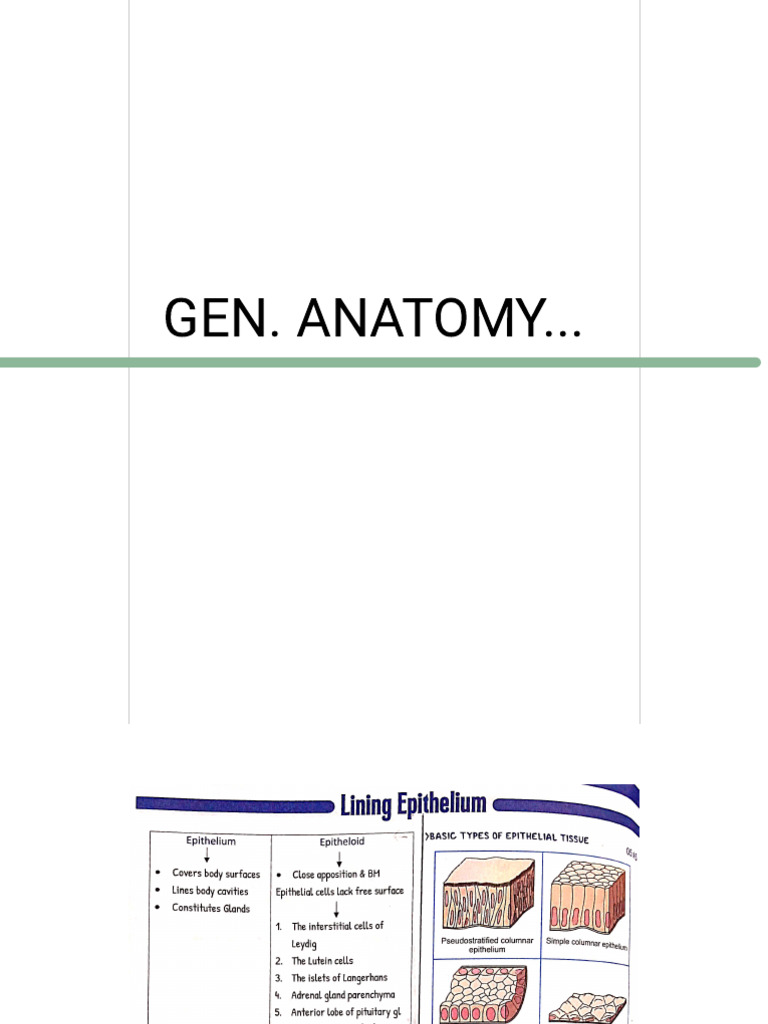 General Anatomy 1 | PDF