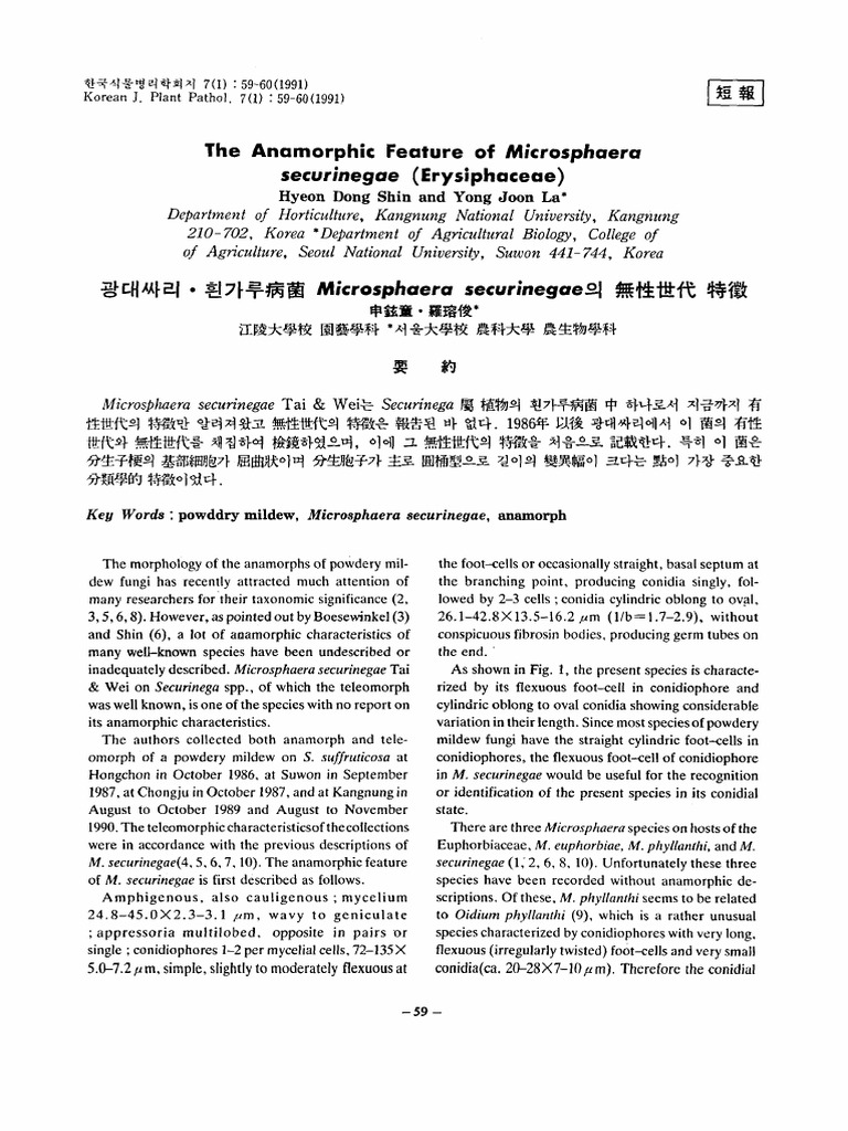 1991 Microsphaera Securinegae KJPP | PDF