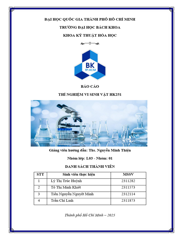 Báo Cáo Tn Vsv Hk251 - l03 - Nhóm 1 | PDF
