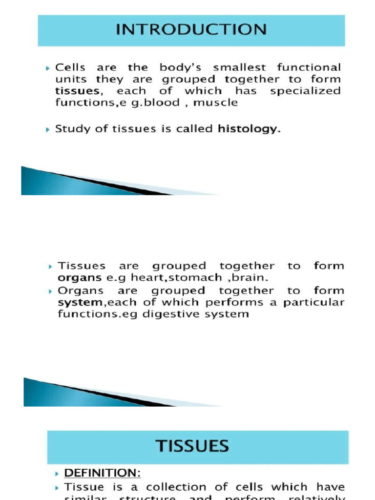 Tissue | PDF