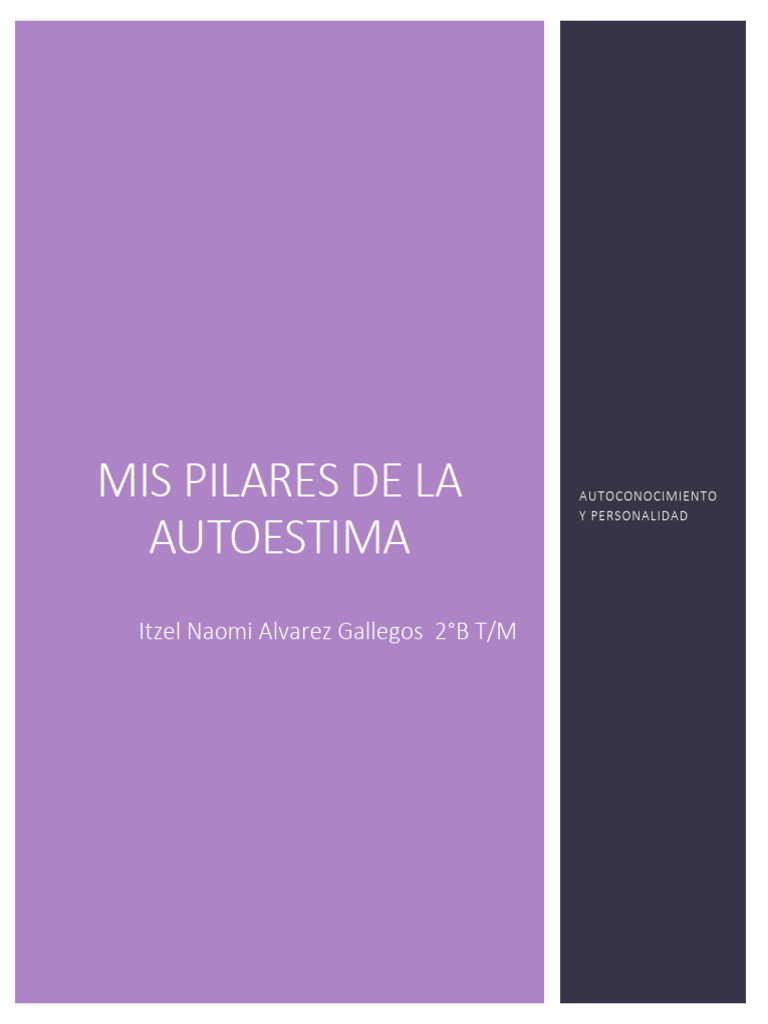 Pilares De La Autoestima 2b M Pdf Autoestima
