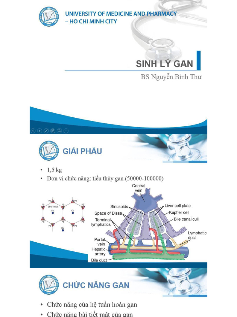 Sinh lý gan YDS | PDF