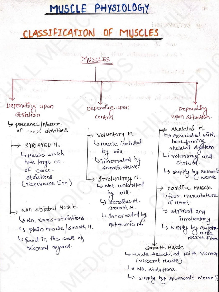 Neuro Muscle Physio | PDF