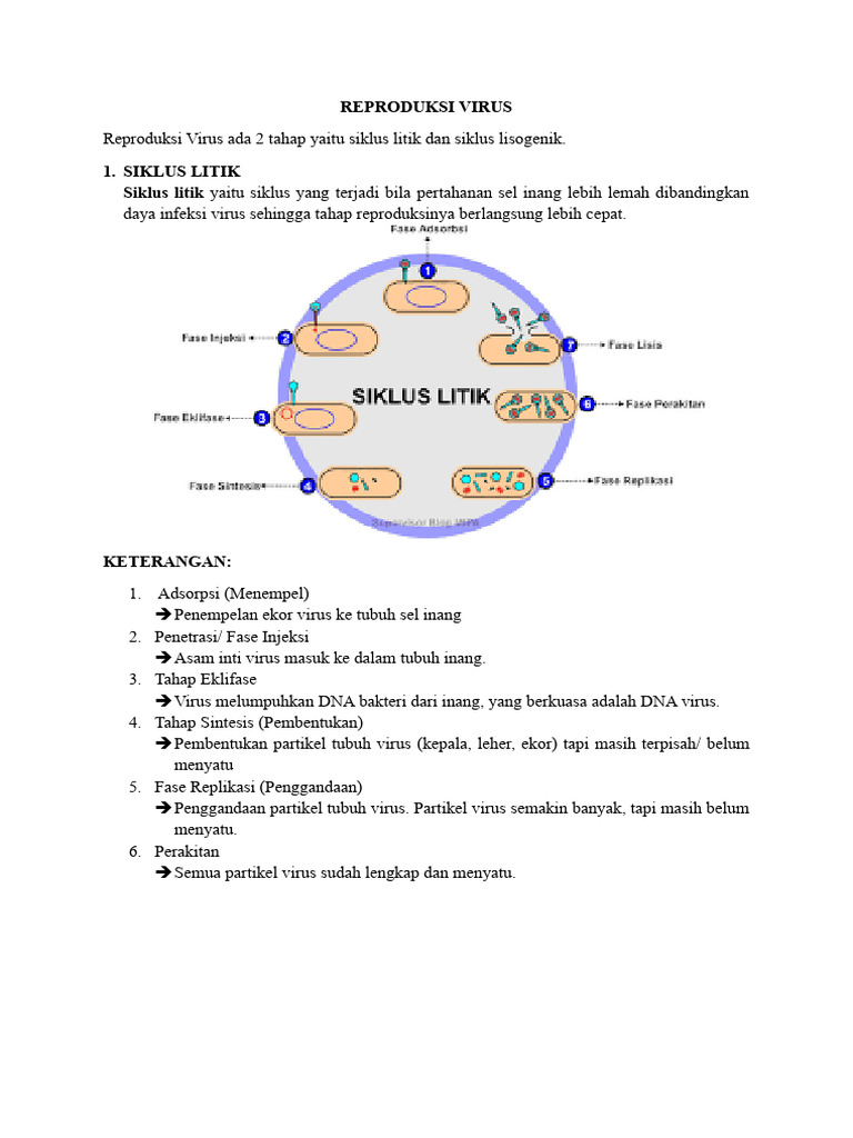 Proses Reproduksi Virus: Litik dan Lisogenik | PDF