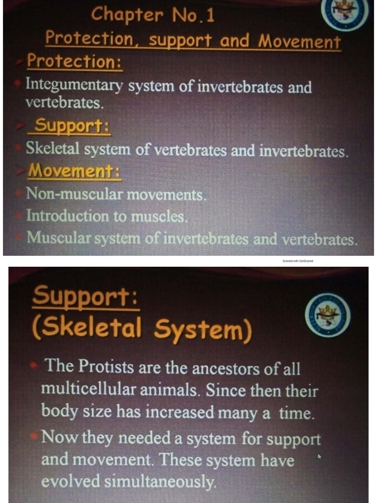 Animal Form and Function | PDF