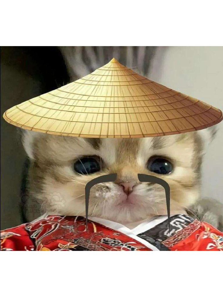 Meme material pdf | PDF