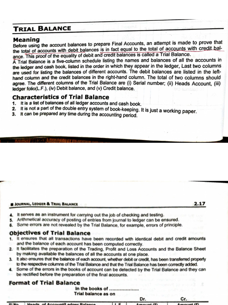 Trial Balance | PDF