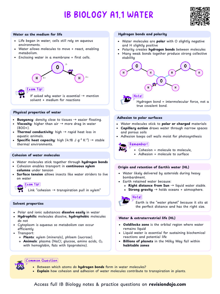 Ibdp Biology | PDF | Cell Membrane | Directionality (Molecular Biology)