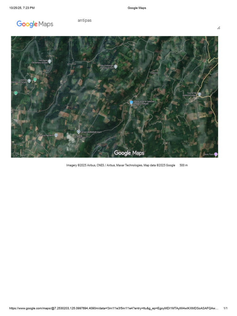 Google Maps | PDF