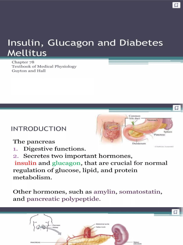 Insulin Glucagon | PDF