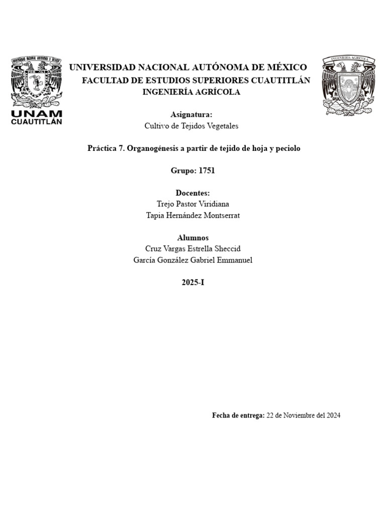 Reporte Prac. 7 CTV | PDF | Tejido (biología) | Biología