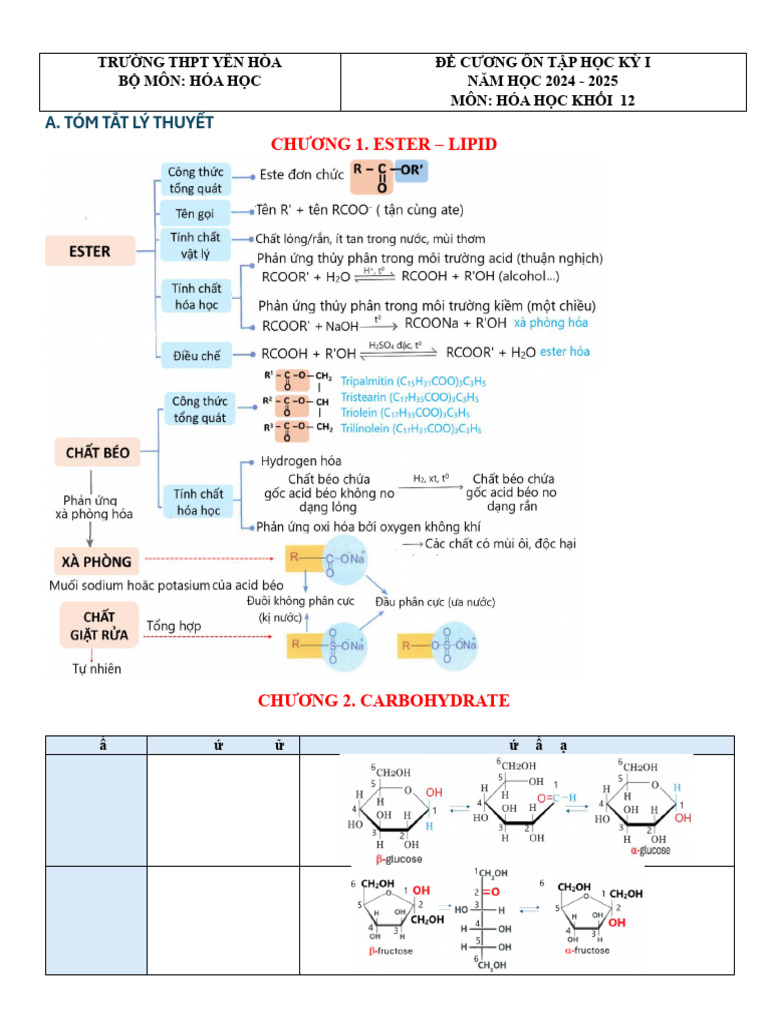 Hoade Cuong HK I Hoa 12 24 25 Hs - 2910202416 | PDF