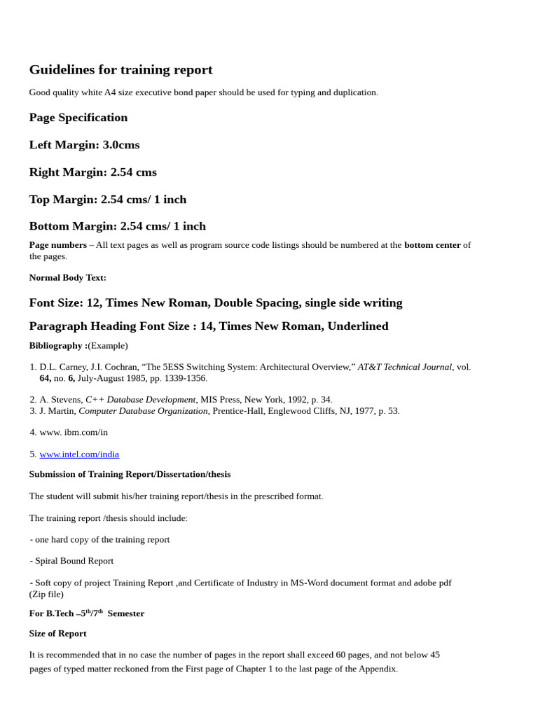 Summer Training Report File Guidelines | PDF
