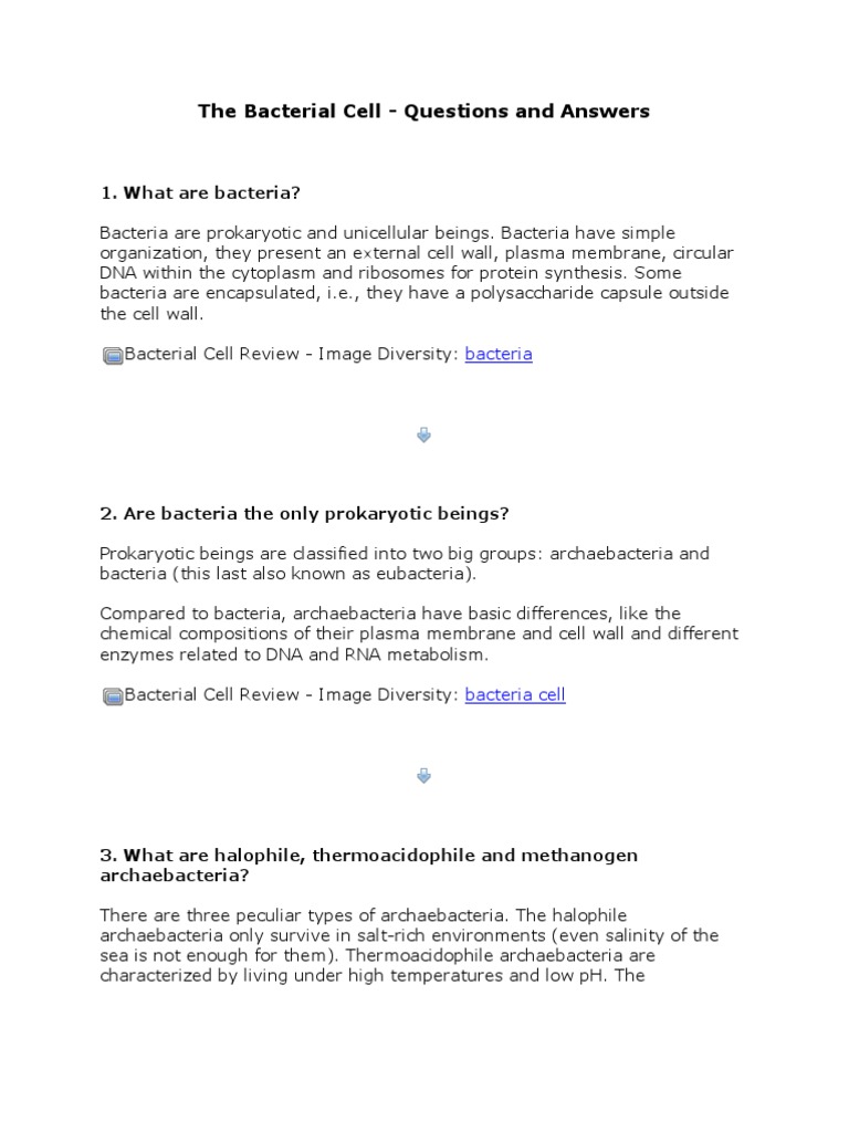 The Bacterial Cell - Questions and Answers: 1. What Are Bacteria? | PDF ...