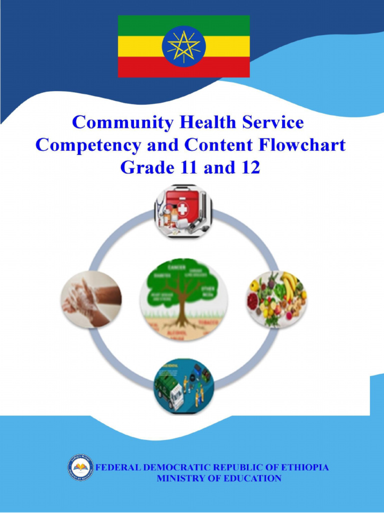 Grade 11 and 12 Community Health Survice Flowchart - 25 Jun 2025 | PDF ...
