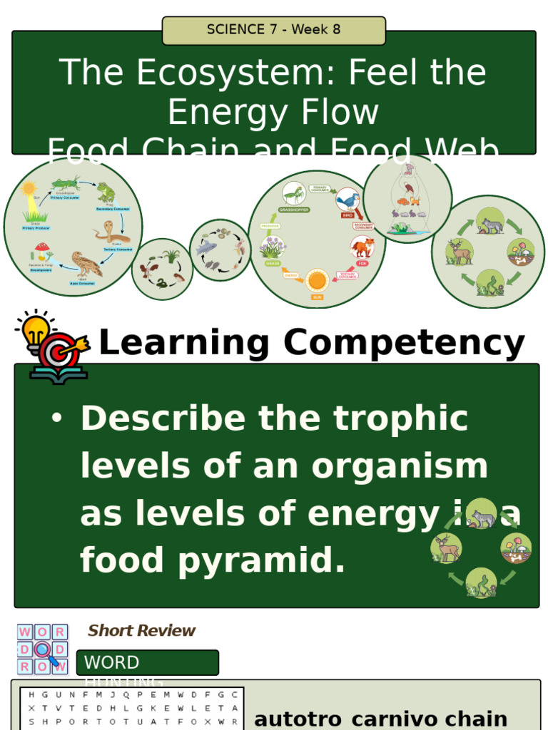 Science 7 - Week 8 (1) | PDF | Food Web | Ecosystem
