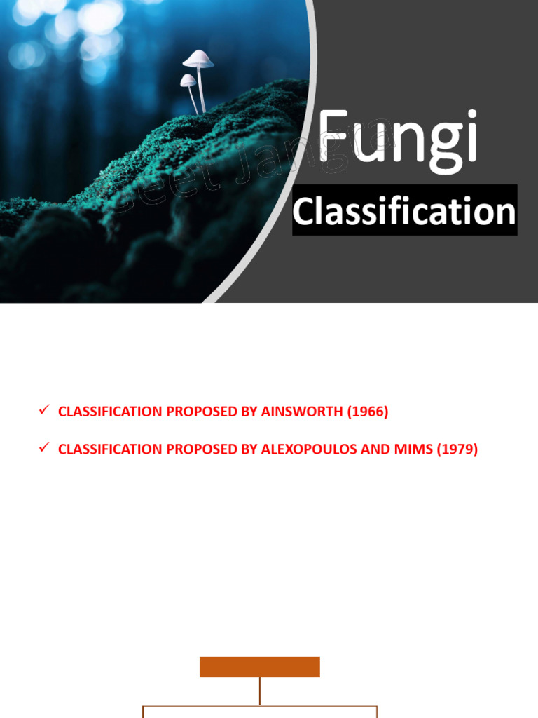 Fungi Classification Book | PDF | Fungus | Spore