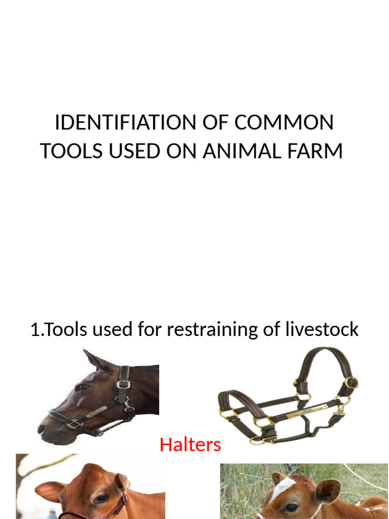 Essential Tools for Animal Farming | PDF
