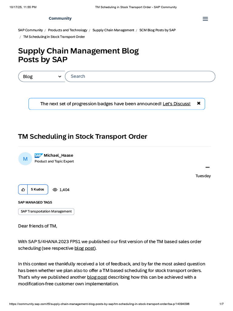 TM Scheduling for Stock Transport Orders | PDF | Supply Chain ...