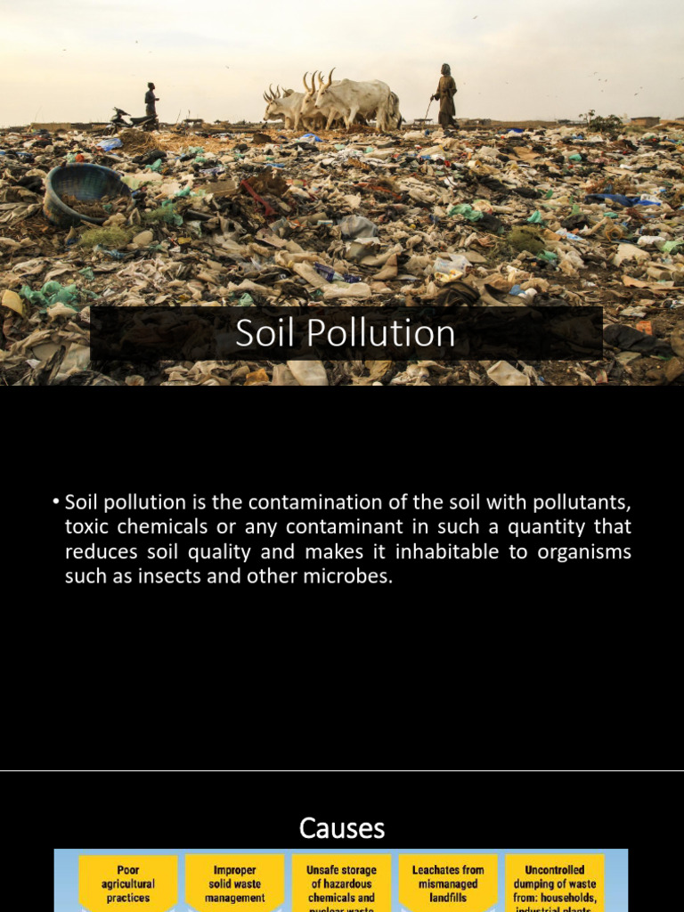 Soil Pollution | PDF | Soil | Pollution