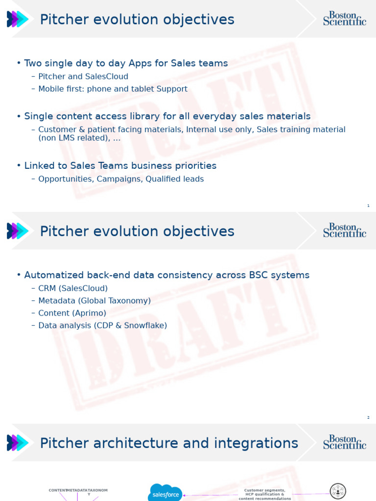 Pitcher Long Term Vision | PDF | Customer Relationship Management | Data
