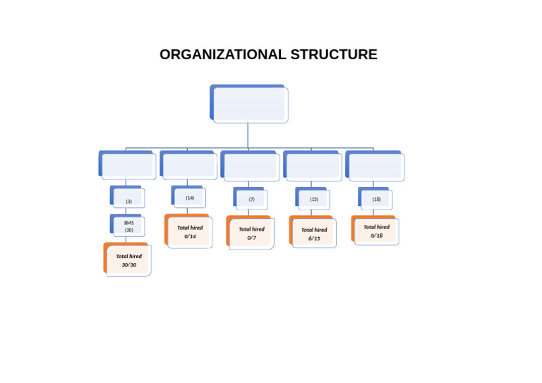 Organizational Structure Overview | PDF