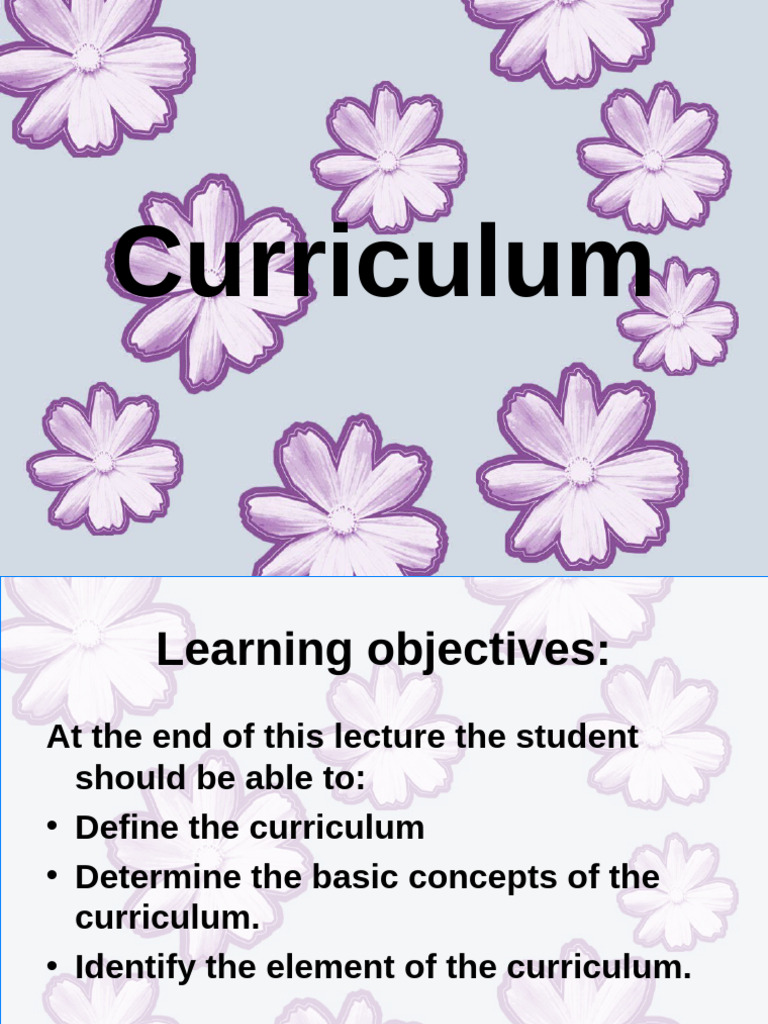 Understanding Curriculum Components | PDF
