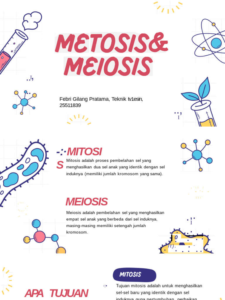 Febri Meiosis | PDF