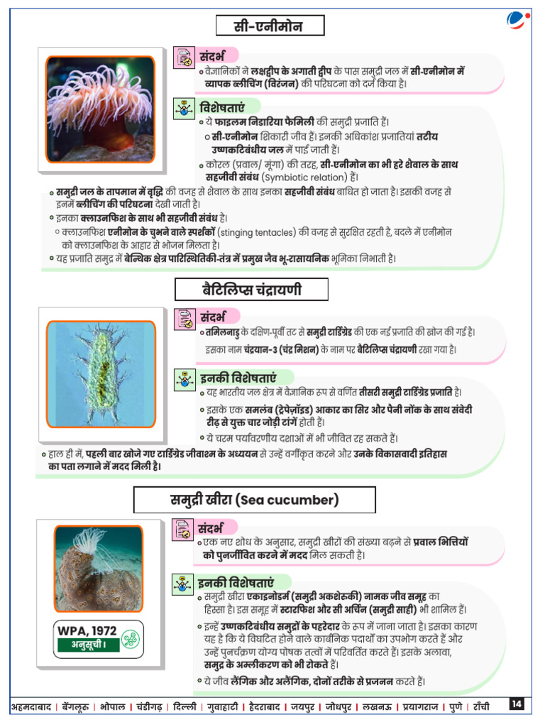 Ggy | PDF