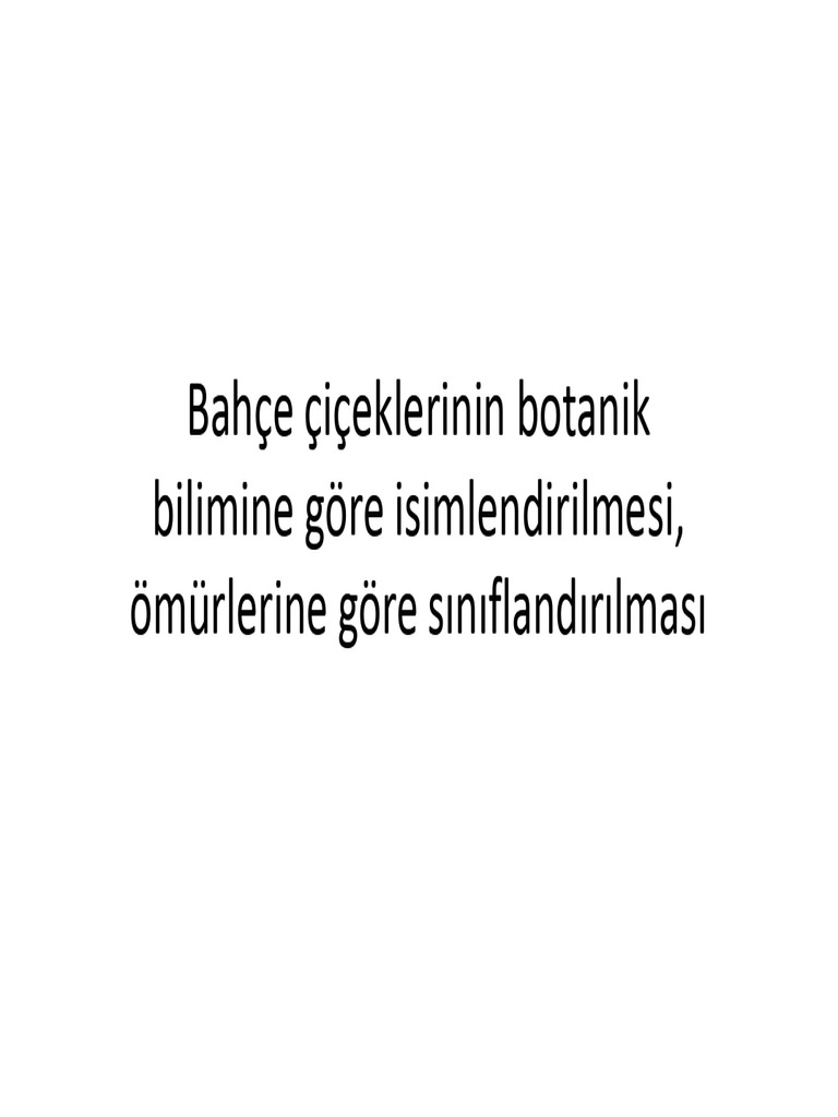 BTD 2 | PDF