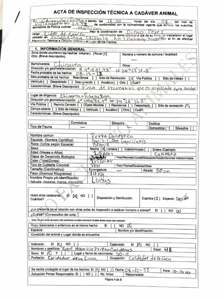 Inspección Técnica de Cadáver Animal | PDF
