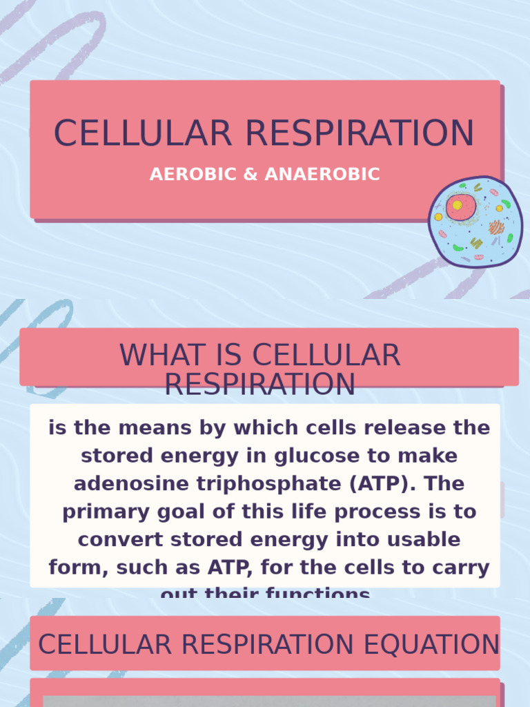 Cell-Organelles-Structures-Lesson-Presen | PDF | Cellular Respiration ...