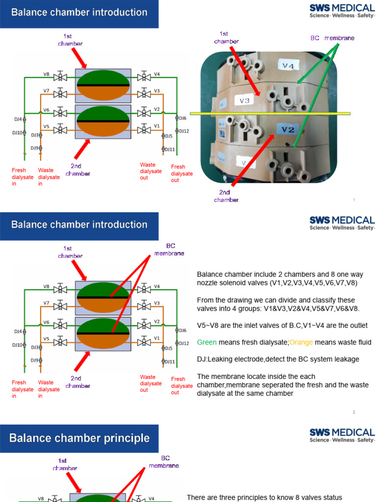 13-SWS-6000 BC Selftest | PDF | Visual Cortex | Pump
