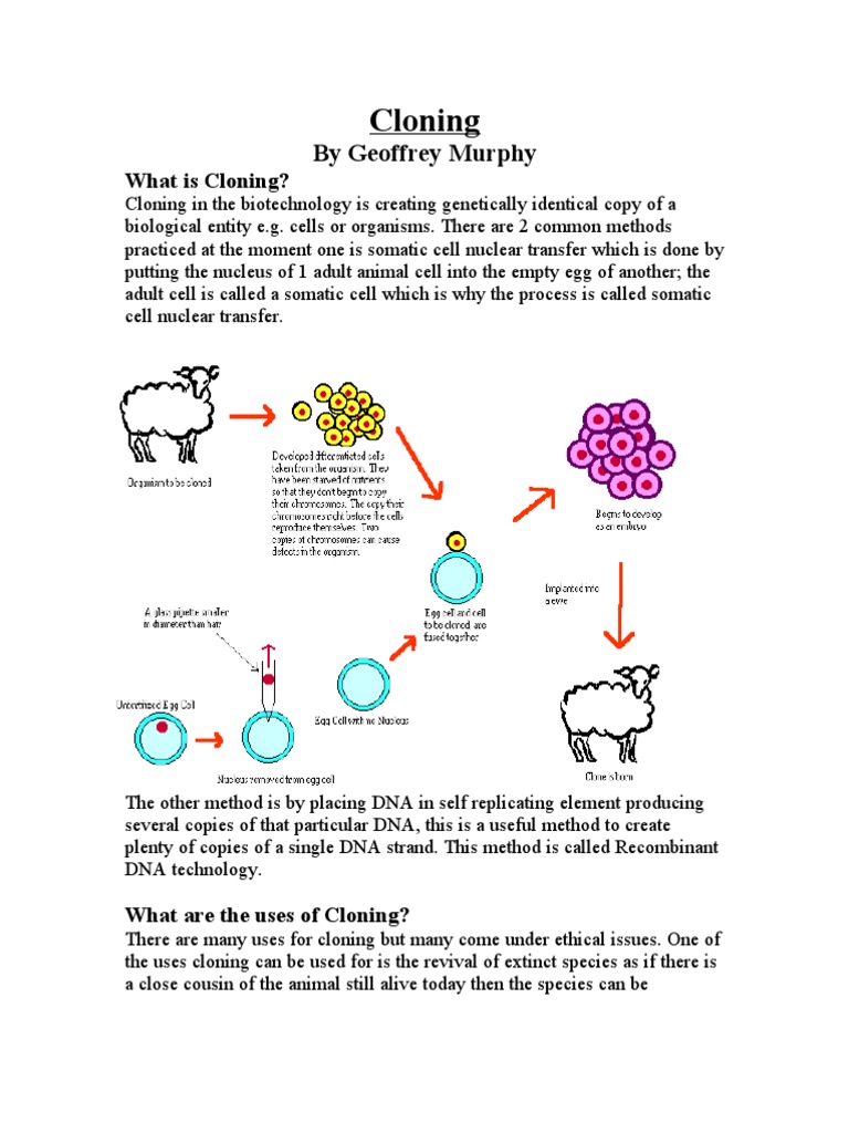 Cloning Scientific Assignment | PDF | Cloning | Dna