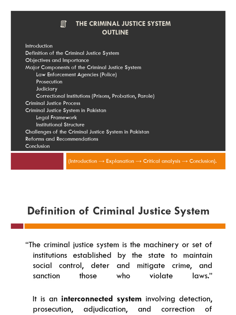 Overview of Pakistan's Criminal Justice System | PDF | Crime & Violence ...