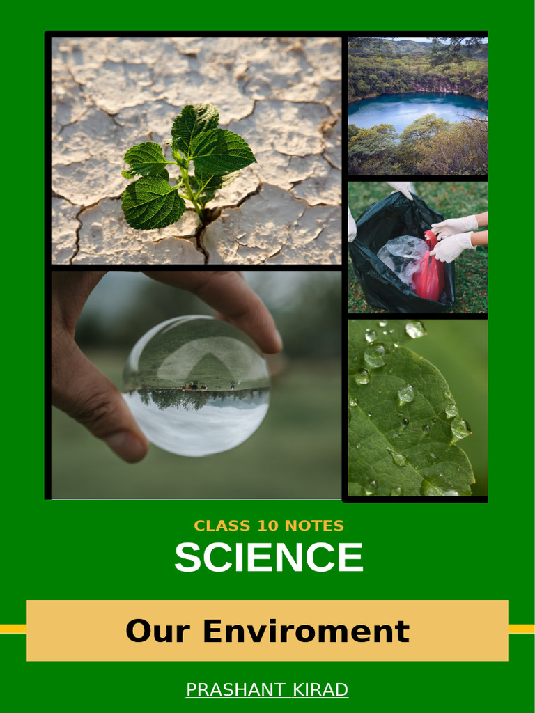 Class 10 Science Ecosystem Notes | PDF | Ecosystem | Food Web
