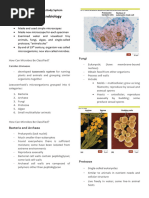 USP-NF 1119.1 Bioburden Test | PDF | Colony Forming Unit | Growth Medium