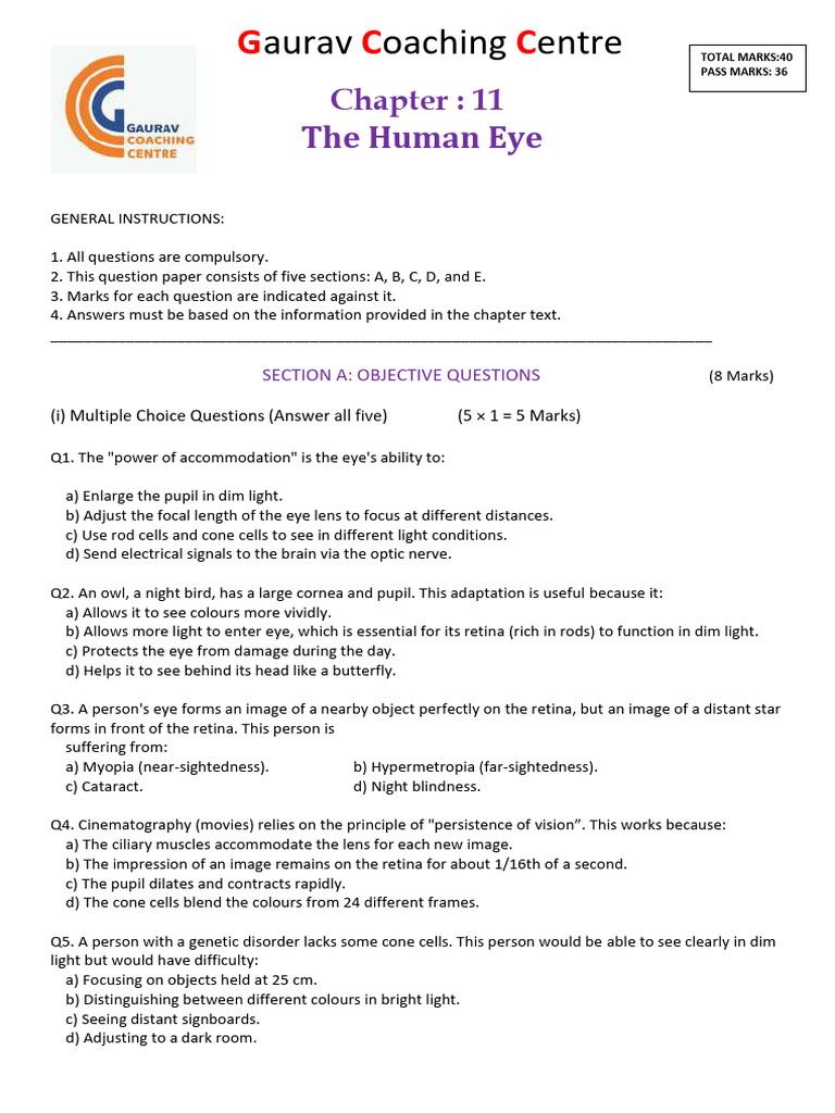 Human Eye Test Paper | PDF | Eye | Human Eye