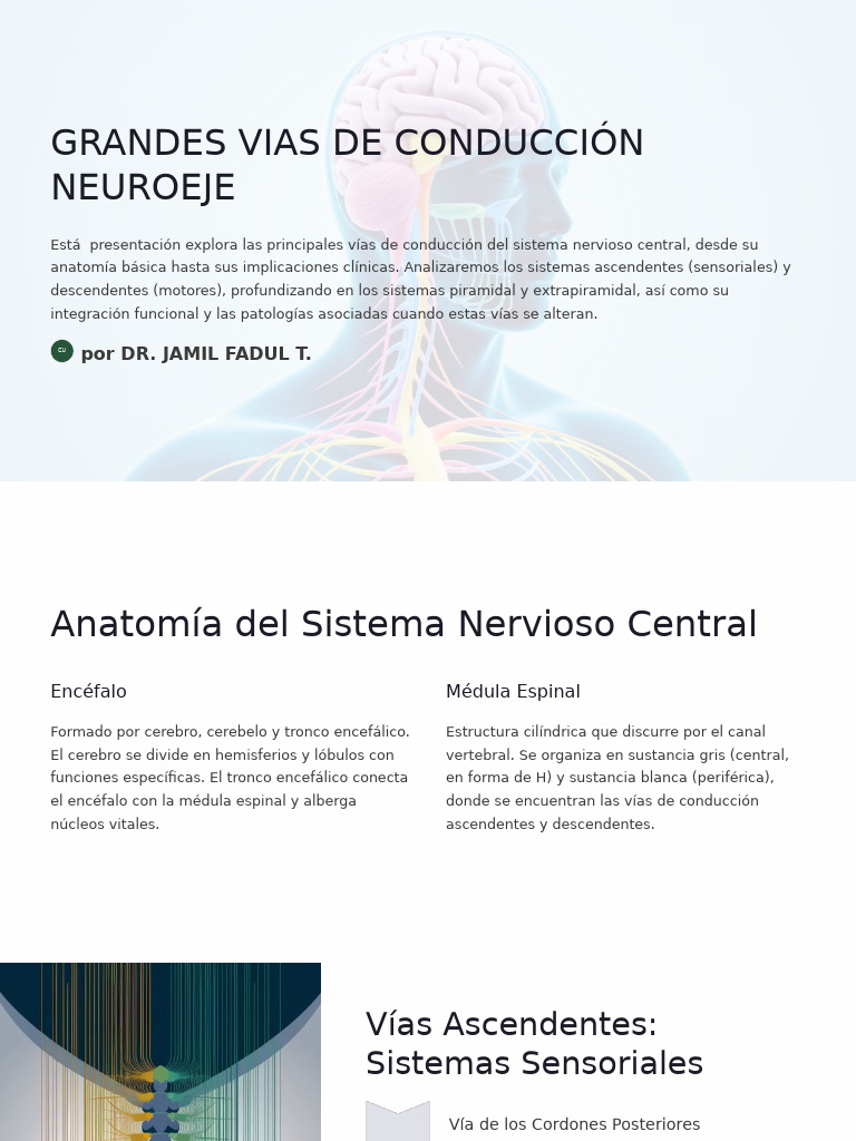 Grandes Vias de Conduccion Neuroeje | PDF | Ganglios basales | Cerebro