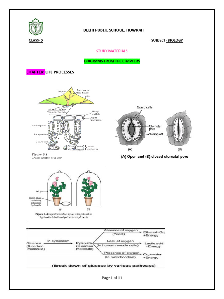 Biology Study Materials for Class X | PDF