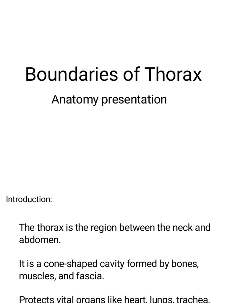 Thorax Anatomy: Boundaries Explained | PDF