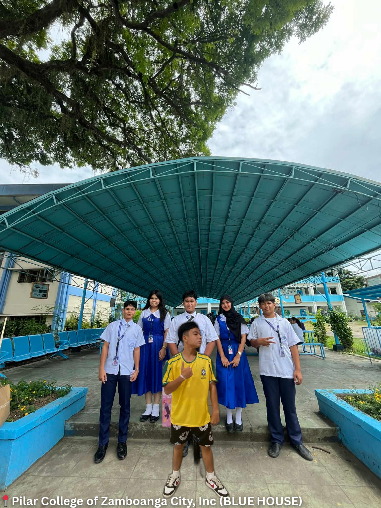 Pilar College of Zamboanga City, Inc (BLUE HOUSE) PDF | PDF
