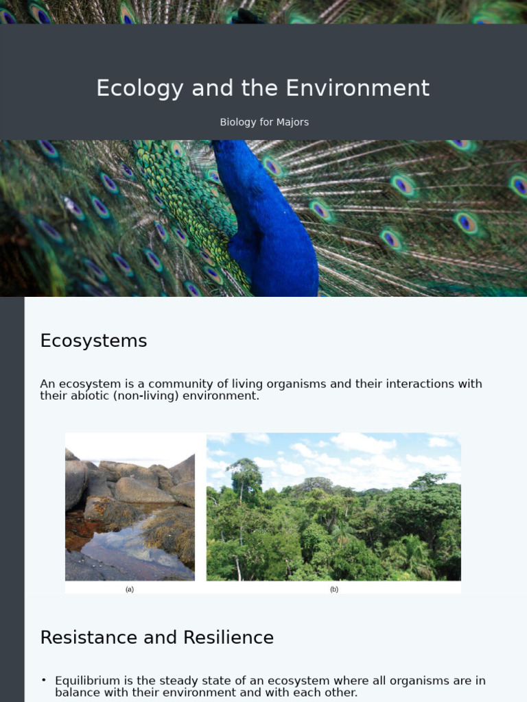 Biology++II Ecology+and+Environment | PDF | Greenhouse Effect ...