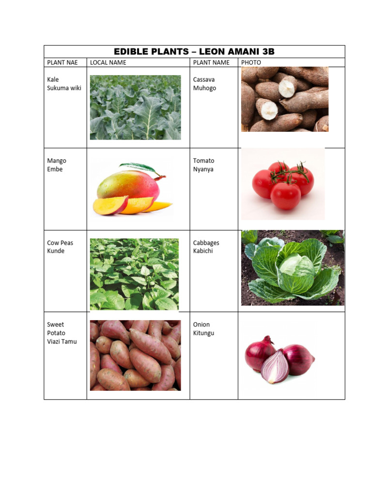 Edible Plant1 | PDF