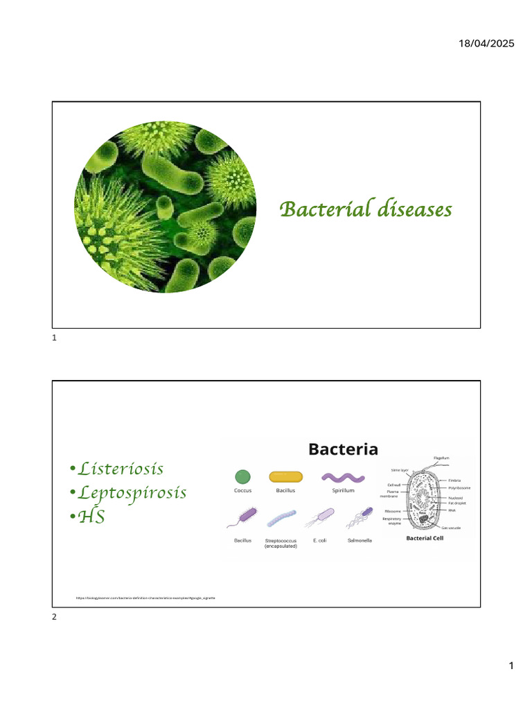 Handout Bacterial Diseases 2025 | PDF | Lipopolysaccharide | Infection